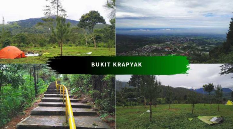 4 Pilihan Paket Outbound Camping Di Pacet Mojokerto Jawa Timur